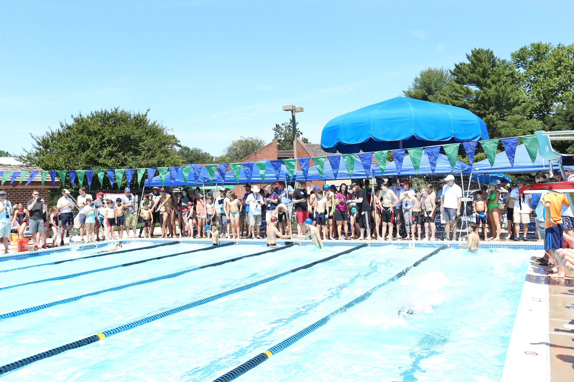 Lake Anne Stingrays Home