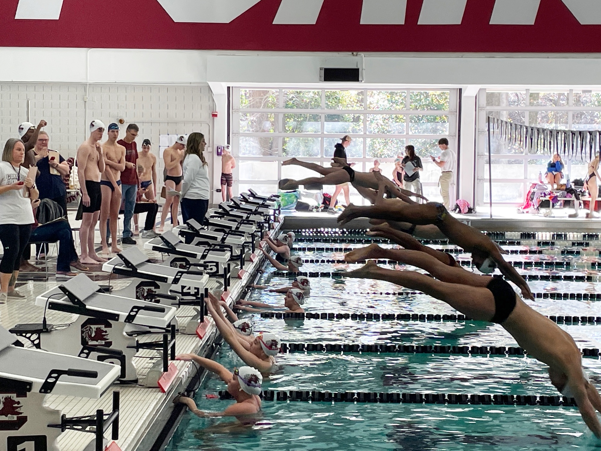 Gamecock Aquatics Home