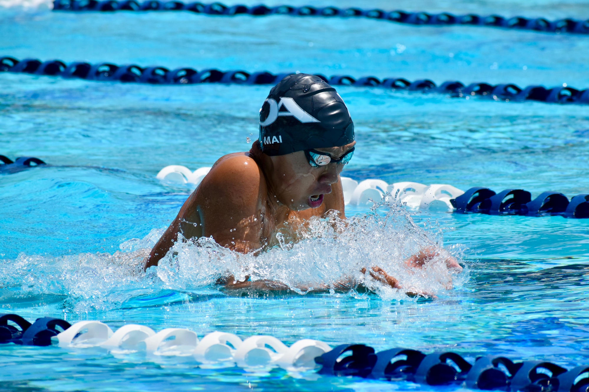 Dolphin Aquatics Home