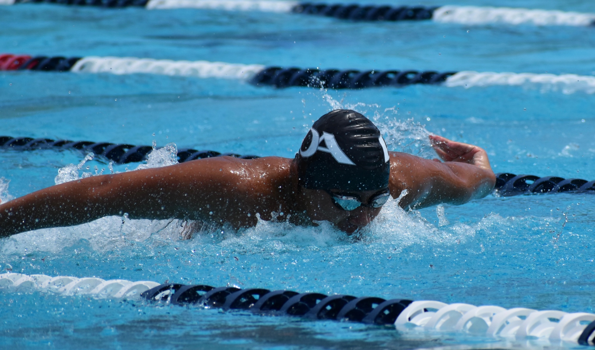 Dolphin Aquatics Home