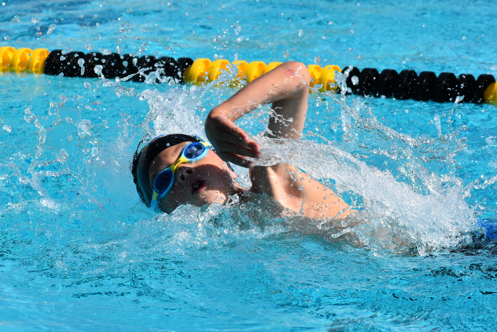 Dolphin Aquatics Home