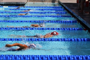 Hemet Valley Dolphin Aquatics Home