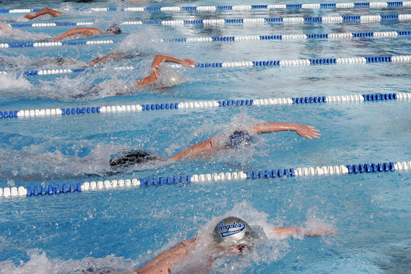 Los Angeles Swim Club - The Program