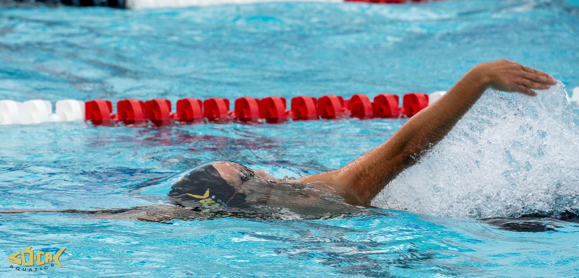 SOCAL Aquatics Association Home