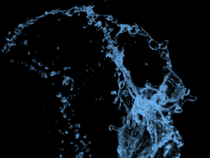 Ensworth Aquatics Home