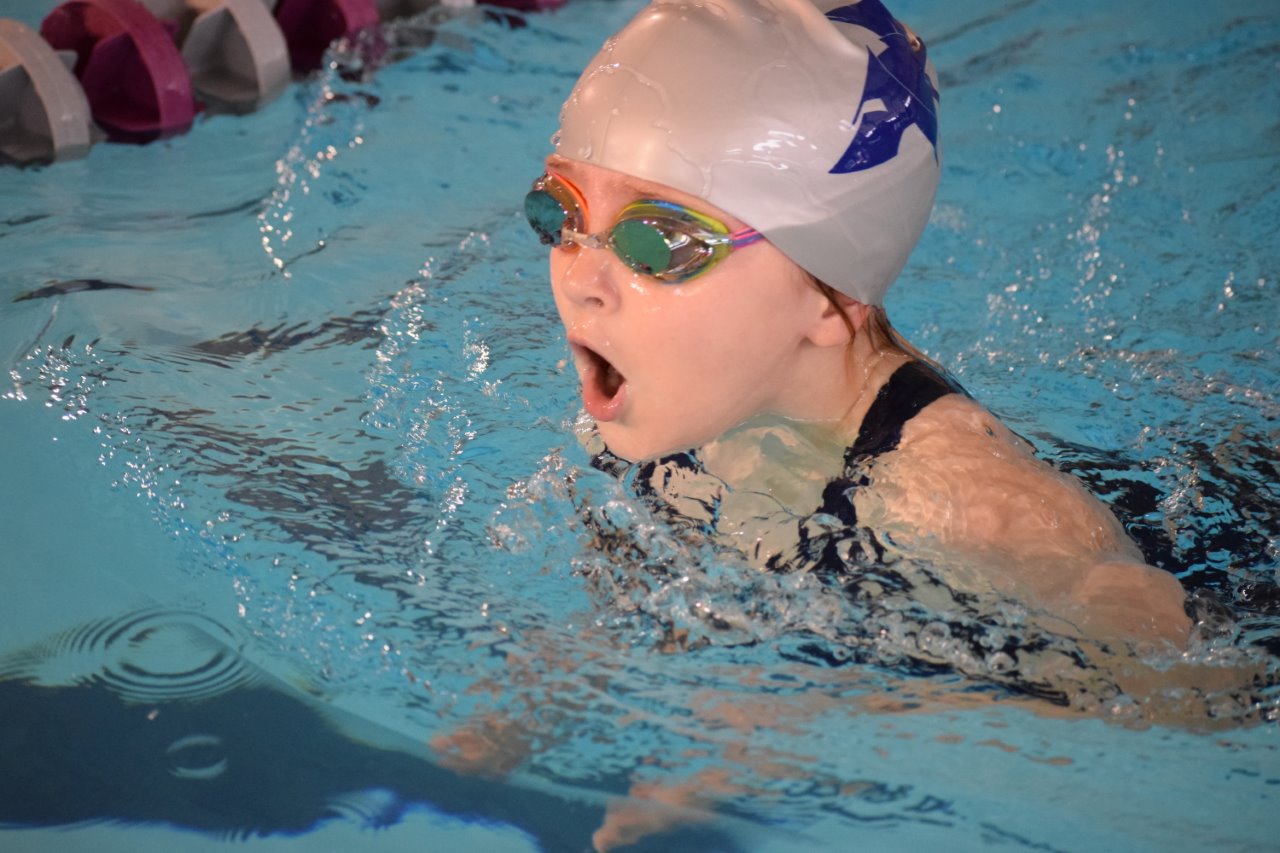 Spartan Swimming - Novice