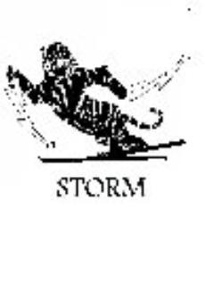 Summit HS Nordic Home