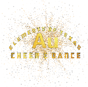 Au Elements of Texas Cheer and Dance - Contact Us