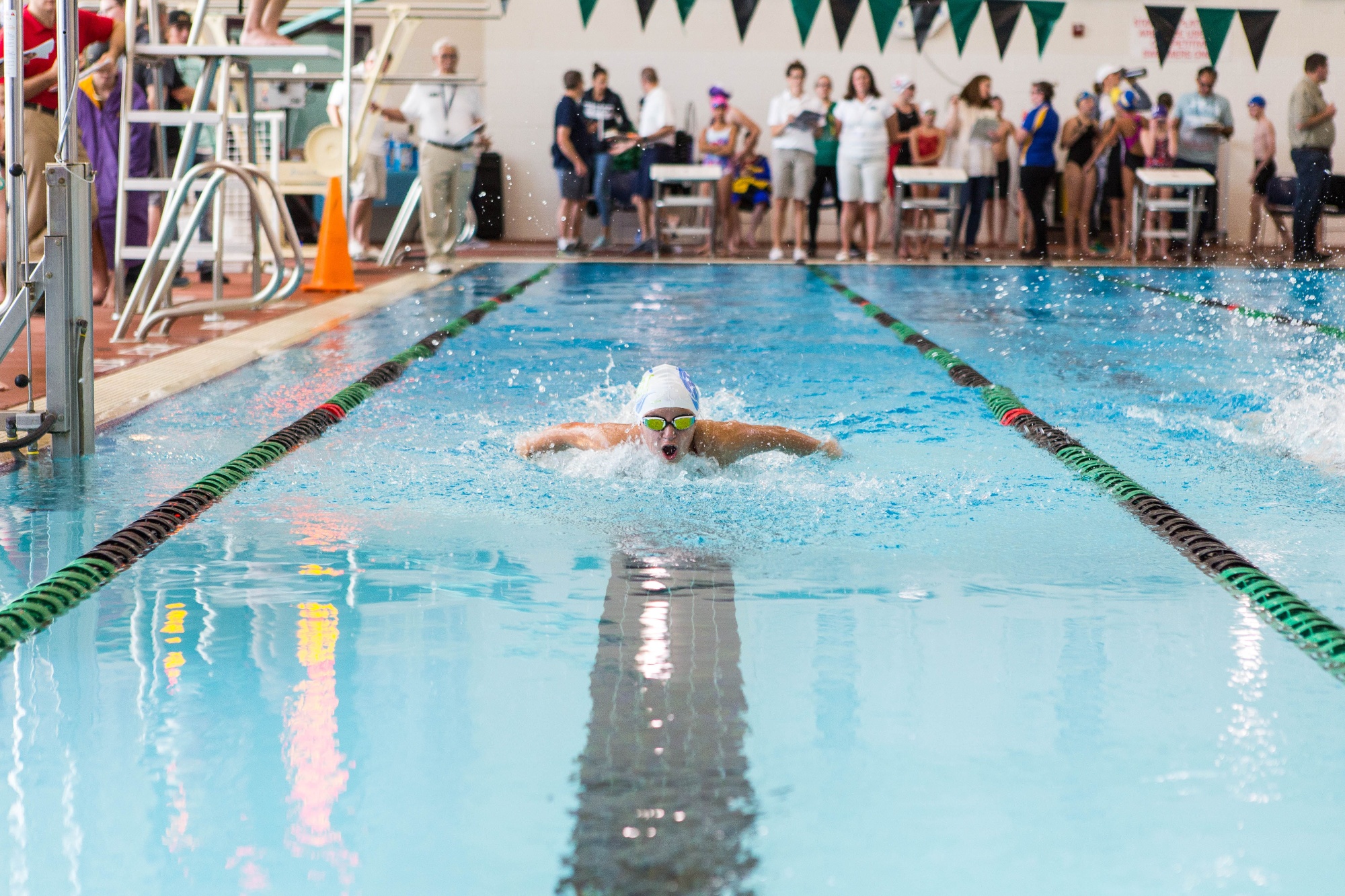 South Davis Aquatic Team Home