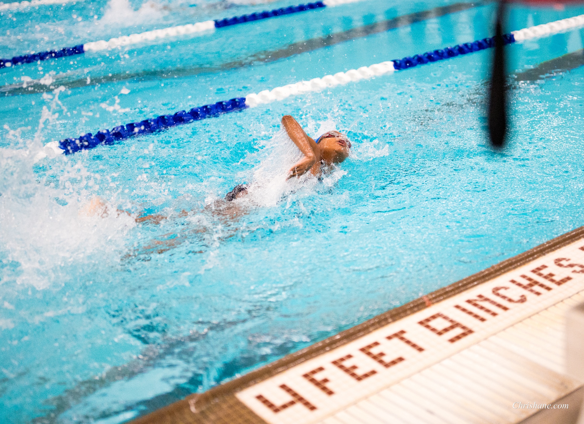 New Rochelle YMCA Sailfish Swimming Home