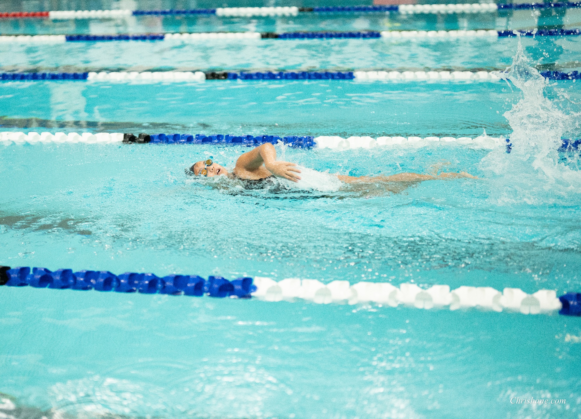 New Rochelle YMCA Sailfish Swimming Home