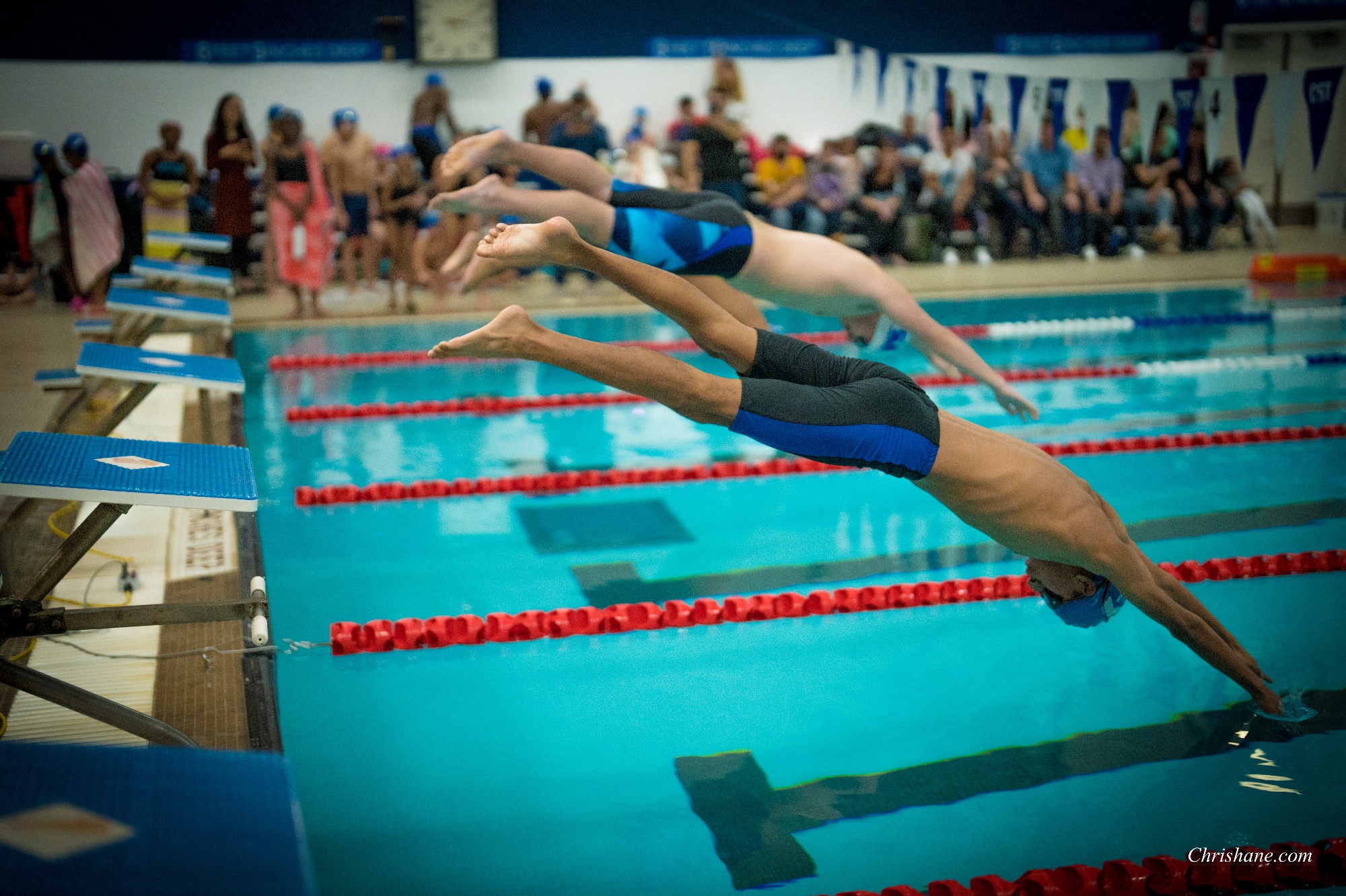 New Rochelle YMCA Sailfish Swimming Home