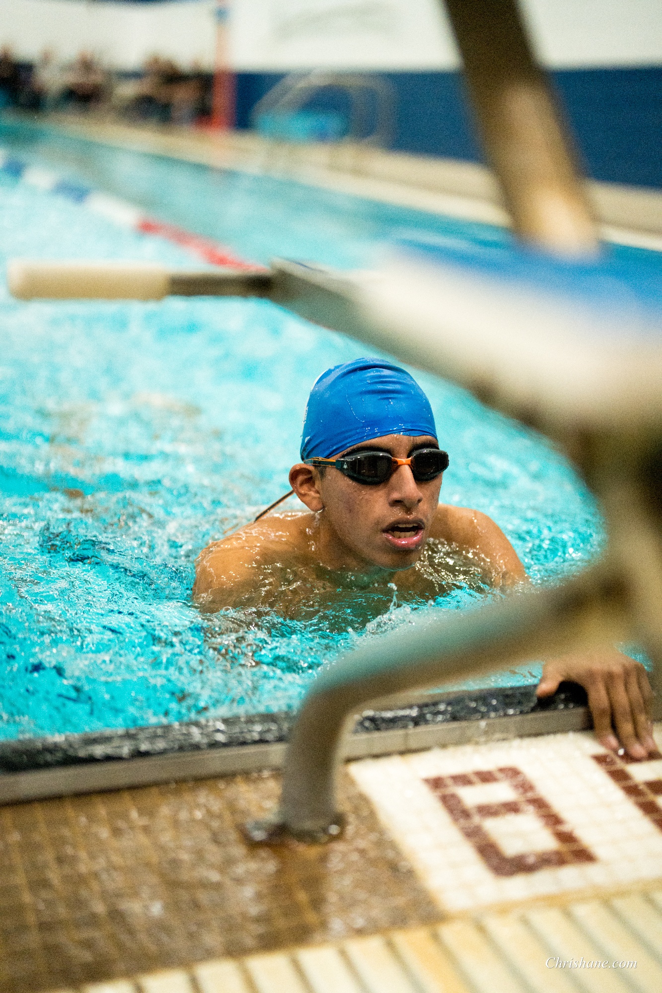 New Rochelle YMCA Sailfish Swimming Home