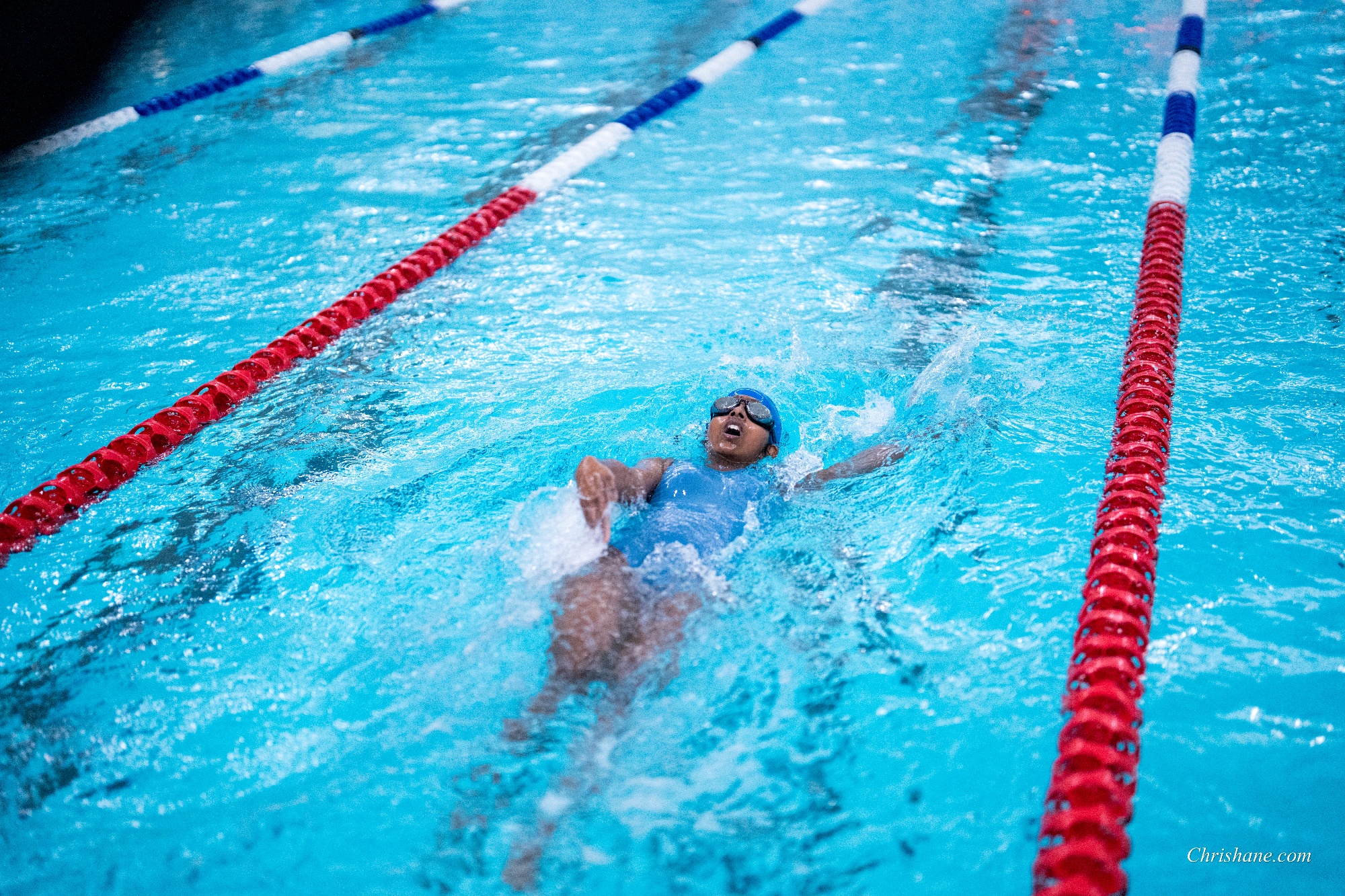 New Rochelle YMCA Sailfish Swimming Home