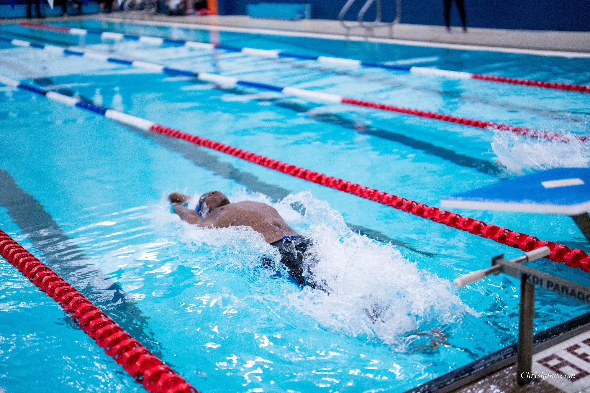 New Rochelle YMCA Sailfish Swimming Home