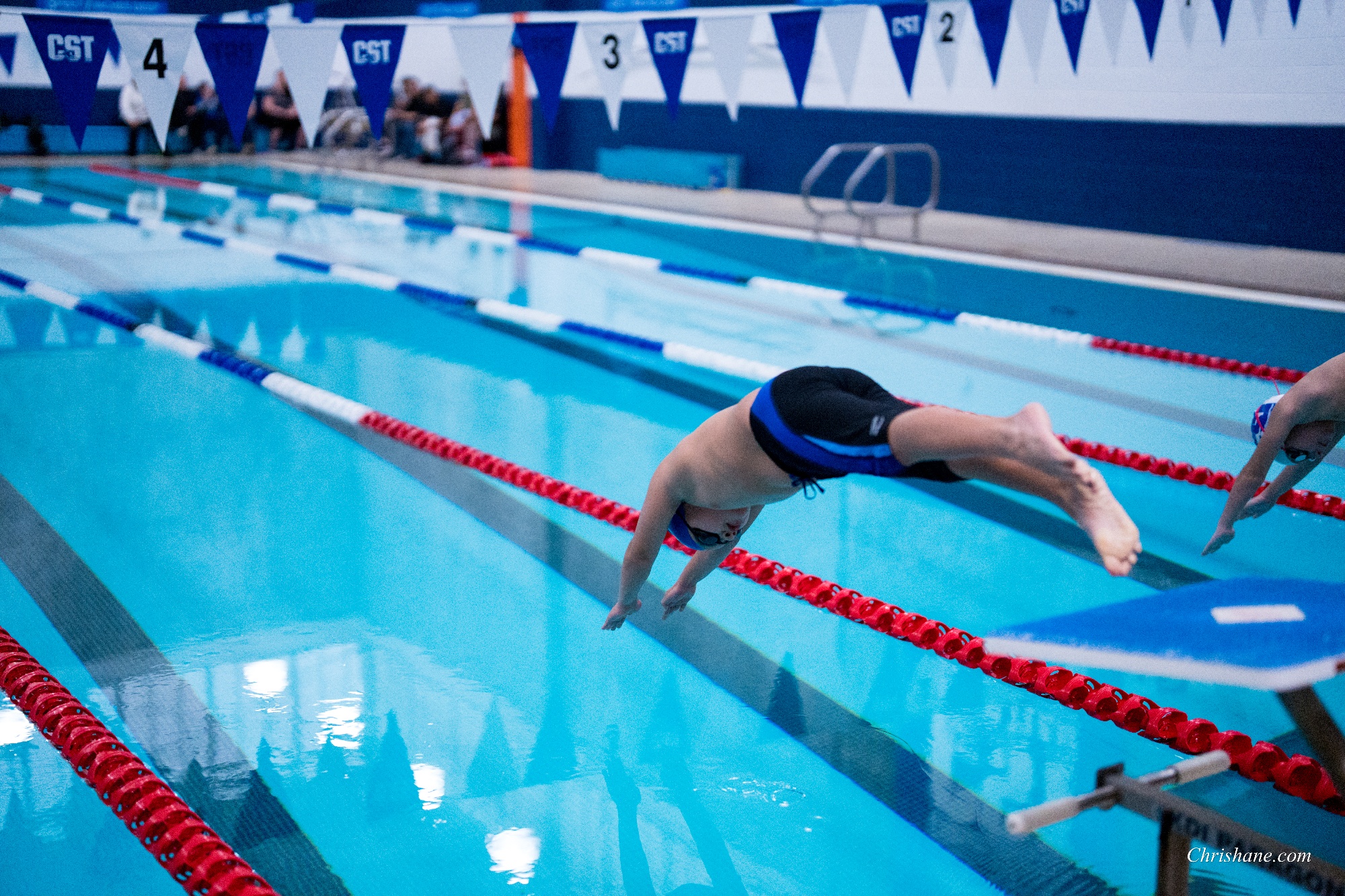 New Rochelle YMCA Sailfish Swimming Home