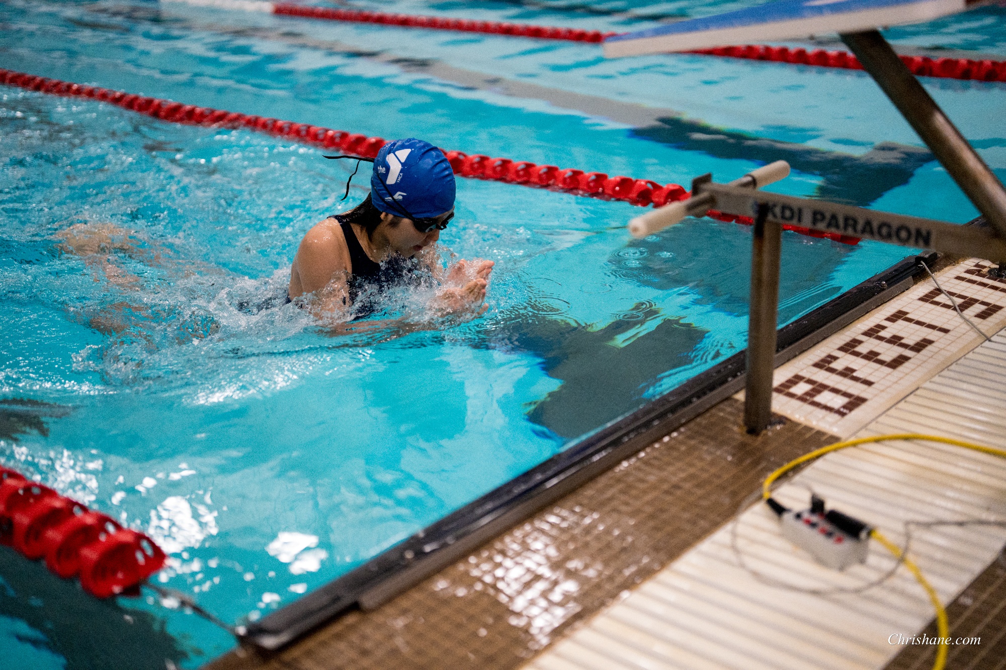 New Rochelle YMCA Sailfish Swimming Home