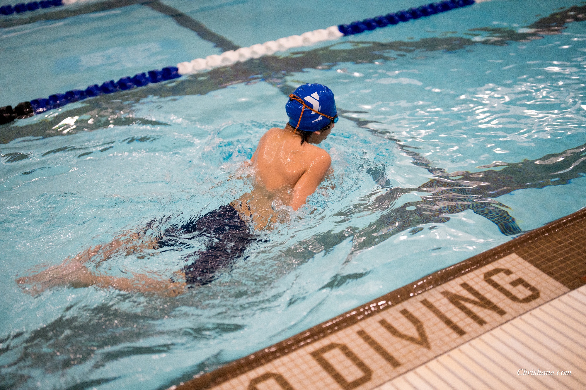 New Rochelle YMCA Sailfish Swimming Home
