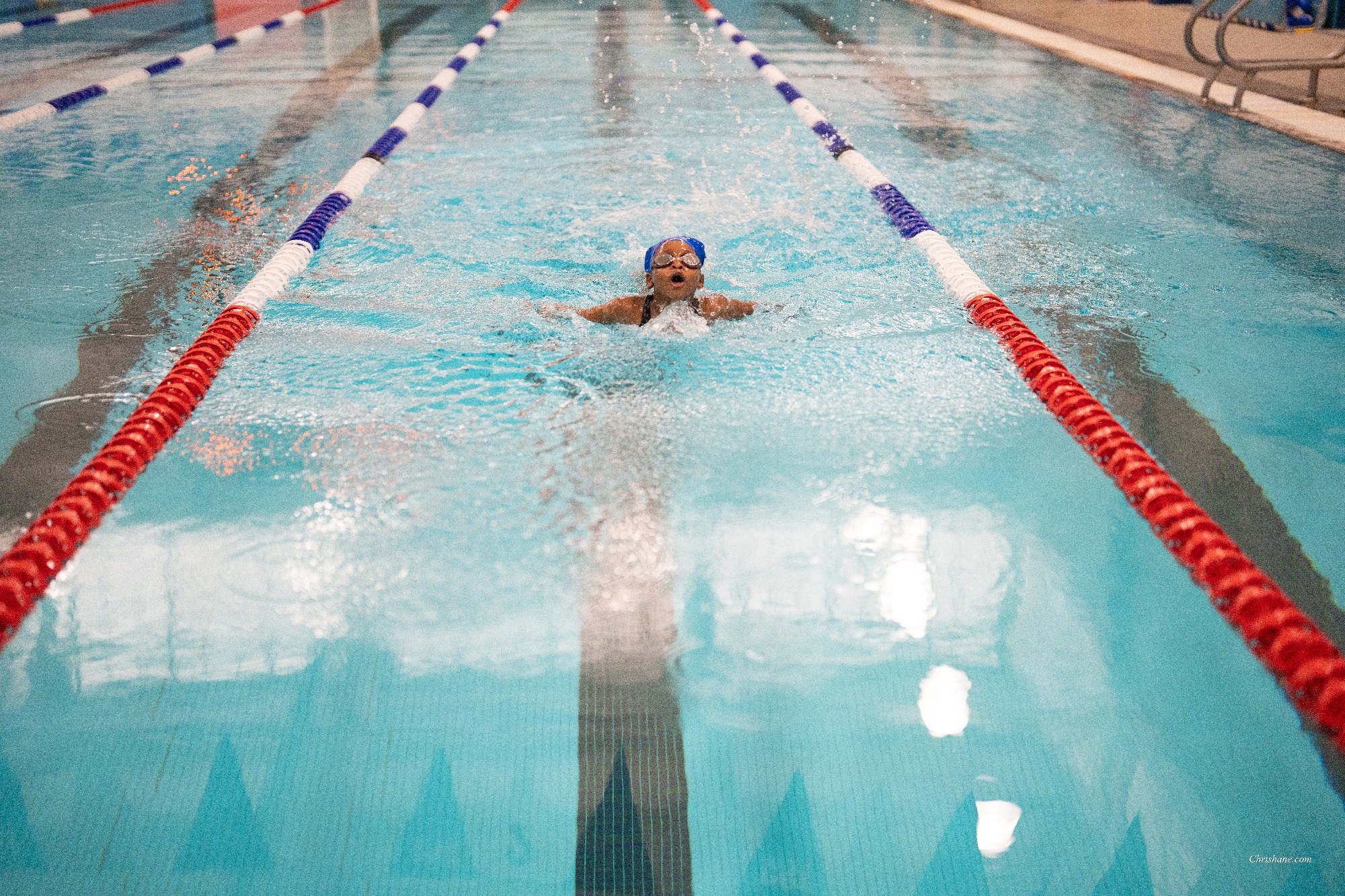 New Rochelle YMCA Sailfish Swimming Home