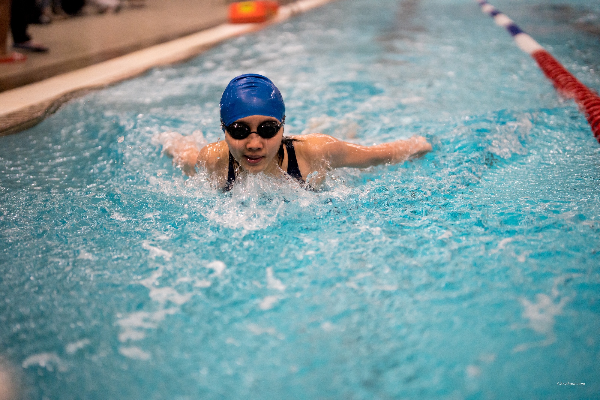 New Rochelle YMCA Sailfish Swimming Home